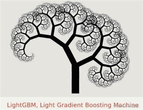 MATLAB算法实战应用案例精讲 回归算法LightGBM算法附JavaPython和R语言代码 matlab lightgbm