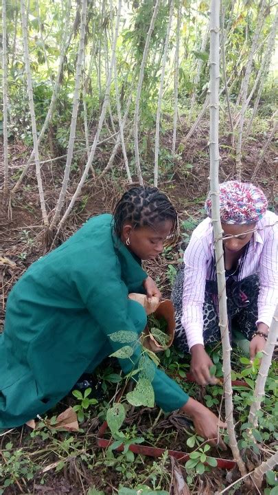 Sampling Technique Quadrat Sampling