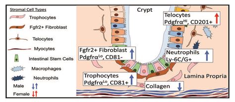 Toxicological Sciences On Linkedin Chronic Arsenic Exposure Results In