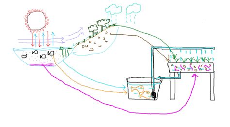 Using A Custom Board Smart Aquaponics Showcase Arduino Forum