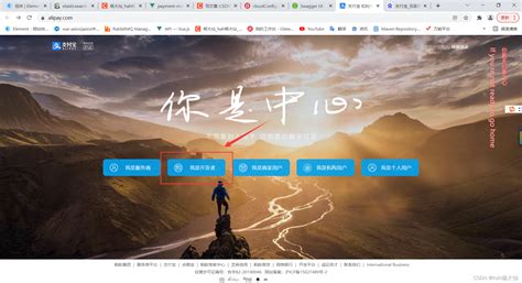 Java前后端 Vuespringcloud 整合 支付宝 完成支付（沙箱） 操作流程【详解】java Vue实现支付宝电脑网站支付