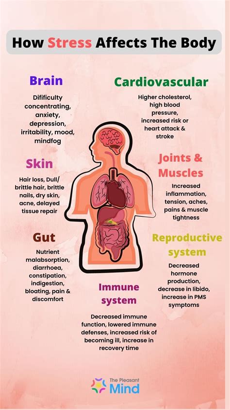 How Stress Affects The Body Artofit