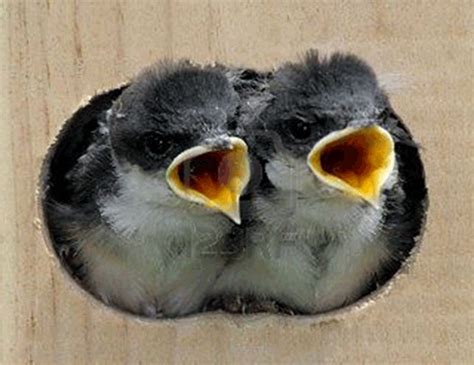 Noach Giving Mishpacha Magazine