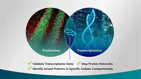 For Protein Analysis Transcriptomics Doesnt Tell The Complete Story