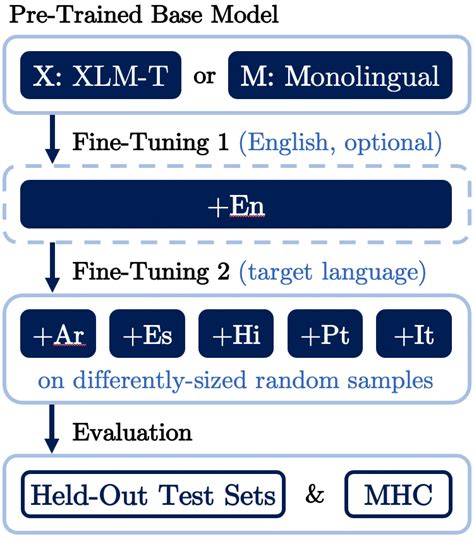 overview of our experimental setup we use iso 639 1 codes to denote
