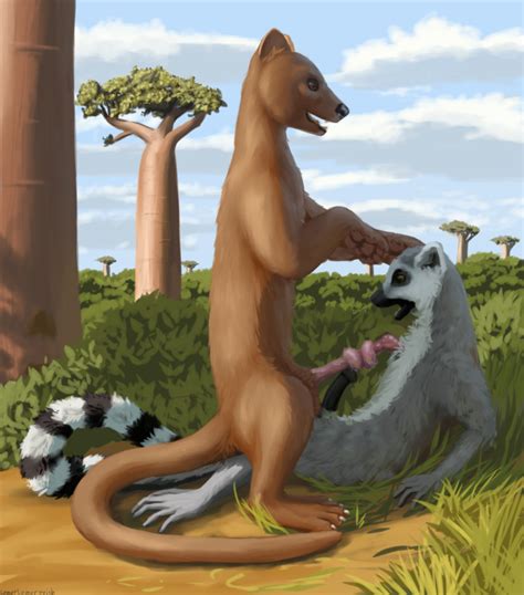 Rule 34 Anatomically Correct Anatomically Correct Penis Animal