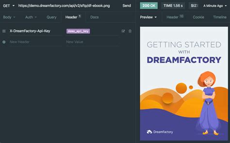 Creating File System Apis Dreamfactory