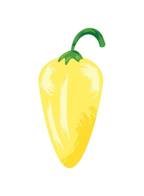 Yellow Chili Pepper 24408921 Vector Art At Vecteezy