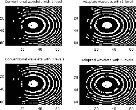 Figure 2 From Anatomically Adapted Wavelets For Integrated Statistical