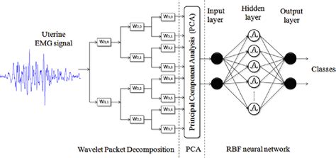 Figure 1 From Classification Of Uterine Emg Signals By Using Normalized Wavelet Packet Energy