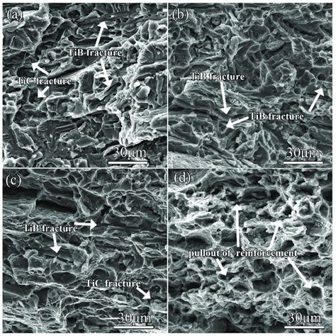 Fracture Surfaces Of As Forged 5 Vol Tib W Tic P Ti Composite Download Scientific
