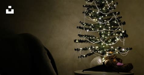 벽 옆에 작은 크리스마스 트리 사진 Unsplash의 무료 사우스포트 Qld 이미지