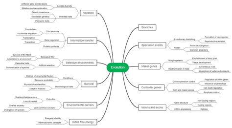 Concept Mapping A Step By Step Guide To Make Concept Maps