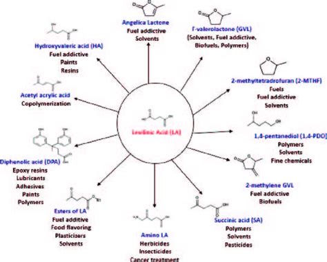 Illustrate Platform Levulinic Acid Applications Download Scientific