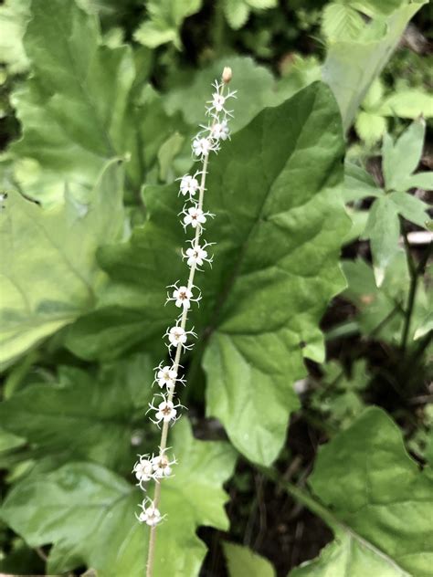 Life Is Not Smooth Rather Covered With Texture Travel Live With Texture