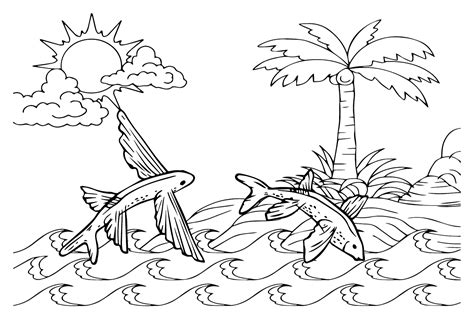 Hand Drawn Flying Fish Coloring Page Free Printable Coloring Pages