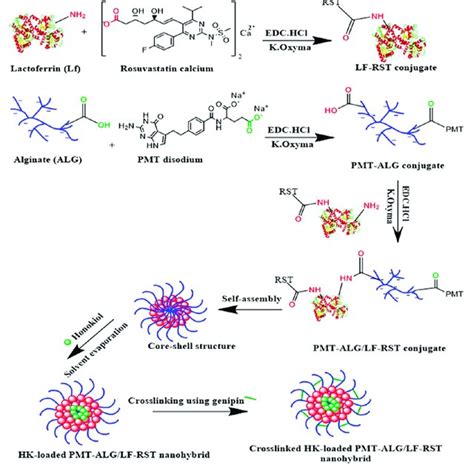 Schematic Diagram Showing The Formulation Stages Of Crosslinked Download Scientific Diagram