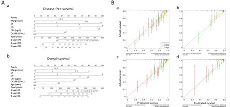 Nomogram And Its Calibration Of Disease Free Survival Dfs And Overall