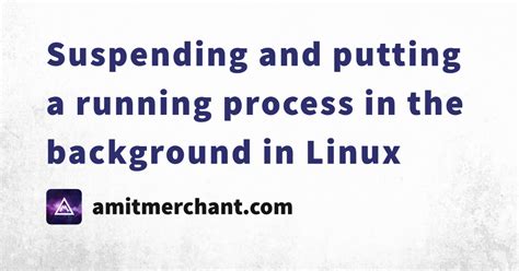 Suspending And Putting A Running Process In The Background In Linux