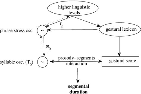 Figure 1 From How Prosodic Variability Can Be Handled By A Dynamical Speech Rhythm Model