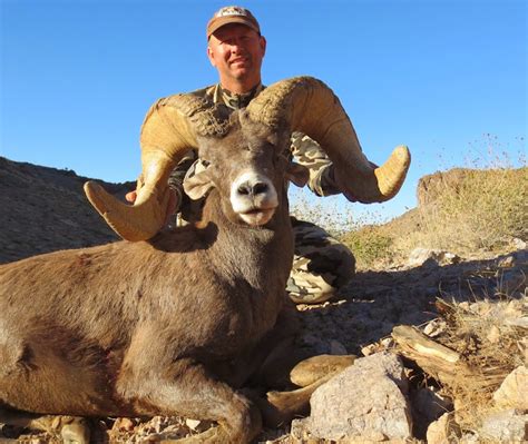 Jay Scott Outdoors Claude Warrens Arizona Desert Bighorn Sheep Hunt Photos 2