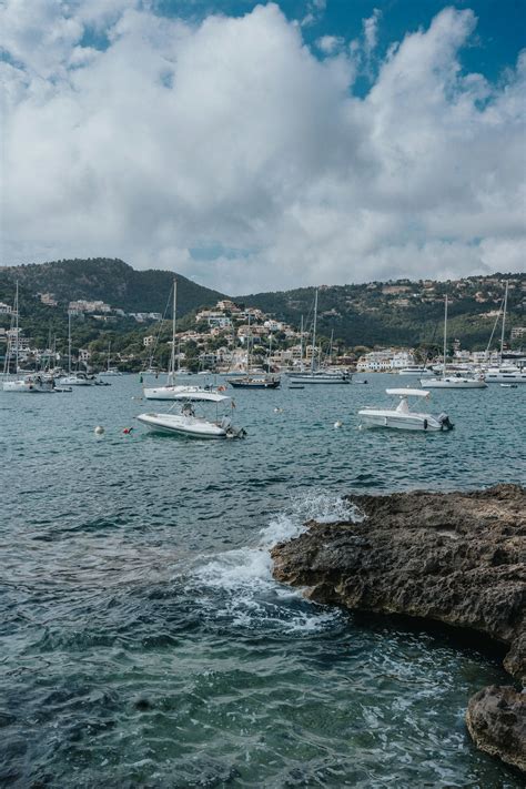 강가 경치 경치가 좋은 고요한 관광 나무 나뭇잎 낮 넓은 바다 녹지 만 맑은 하늘 모험 목가적인 바다