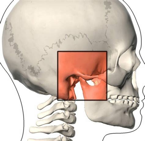 Բժիշկ ստոմատոլոգ օրթոդոնտ Հեղինե Մխիթարյան Erevan
