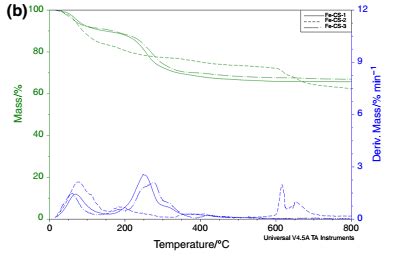 Tg And Dtg Curves For A Neat Cs And Modified Cs And B Fe O Download Scientific Diagram