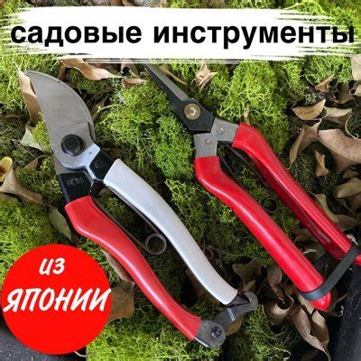 Японские секаторы, сучкорезы, кусторезы, ножницы - Японские садовые ...
