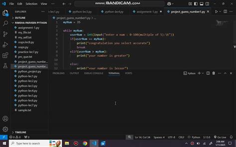 Codingchallenge Python Numberguessing Rimsha Perveen
