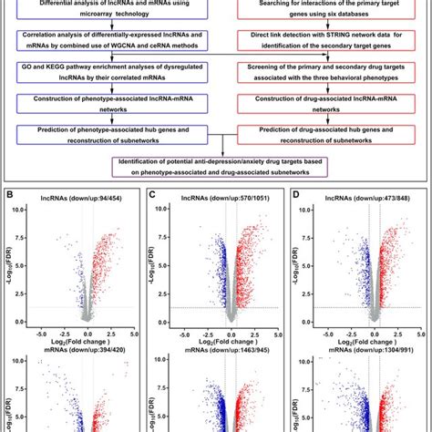 Intergroup Analysis Of Differentially Expressed Long Noncoding Rnas