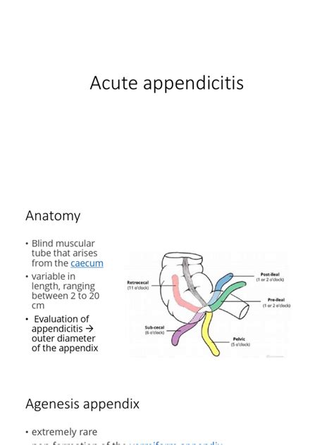 Pathology Of Appendix Pdf Medical Specialties Anatomy