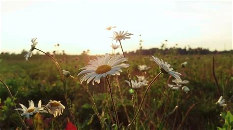 감미로운 힐링 음악 Youtube