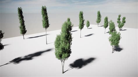 Hdrp Tree Pack 14 Highpoly