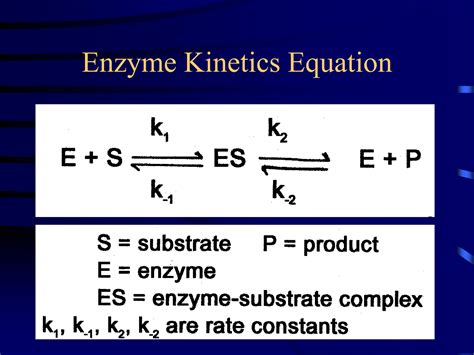 Enzyme Kinetics How It Works Michelis Menten Equation Ppt