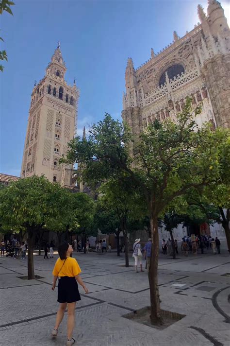 2022塞维利亚斗牛场游玩攻略 看到很多一袭红裙的姑娘在门 【去哪儿攻略】