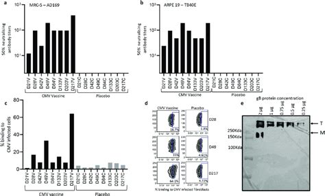 Functional Characterisation Of Cmv Vaccine Formulation Induced Antibody Download Scientific