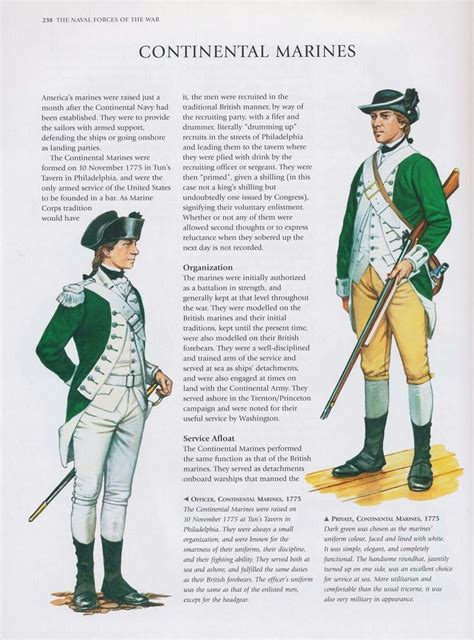 Continental Marine Uniform Civil War Military History American