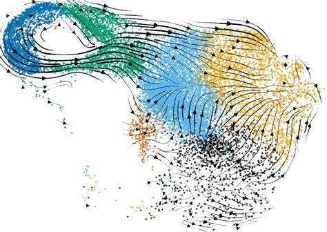 Bioinformatics At Bri Benaroya Research Institute