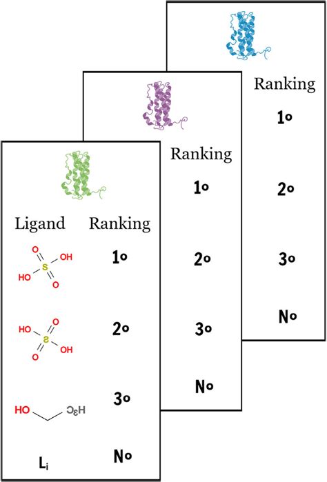 ranking per macromolecule graphical representation of the ranking of