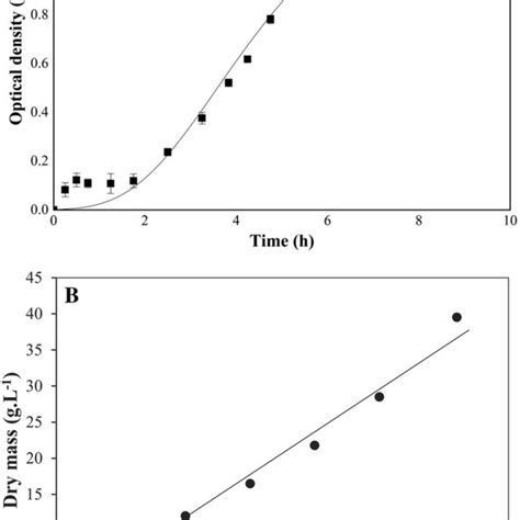 Generation Time A And Relation Between Dry Mass And Absorbance B Download Scientific