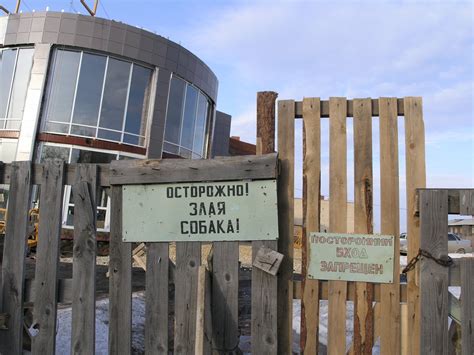 Очень злая собака | Пикабу