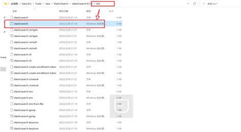 elasticsearch的安装和访问 访问es csdn博客