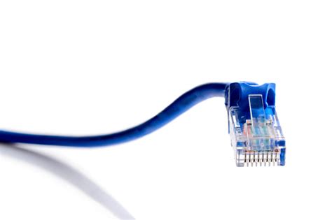 네트워크 Lan 이더넷 연결을 위한 파란색 패치 코드의 커넥터 Rj45 뱀 모양의 플러그 흰색 배경에서 격리된 클로즈업 매크로입니다 네트워크 연결 플러그에 대한 스톡 사진