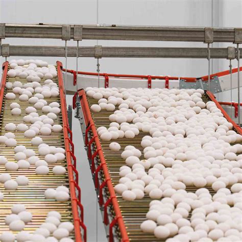 Command 3 Advanced Poultry Farm Automation And Control Prism Controls