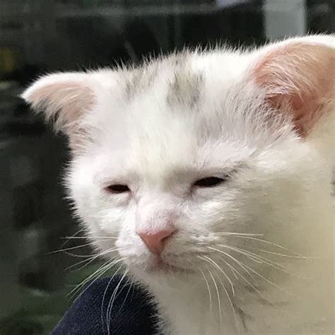 Depressed Meme Templates Imgflip Depressed Meme Templates Imgflip