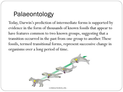 Ppt Blueprint Of Life Topic 4 Evidence To Support The Theory Of