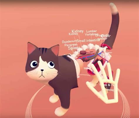 Examinando A Un Gato Con Realidad Virtual Emiliusvgs