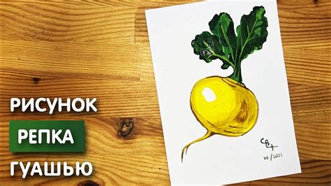 Как нарисовать репку карандашом и гуашью для детей Рисунок поэтапно для срисовки Youtube