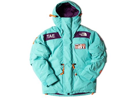 The North Face Tae Trans Antarctica Expedition 700 Down Parka Jacket